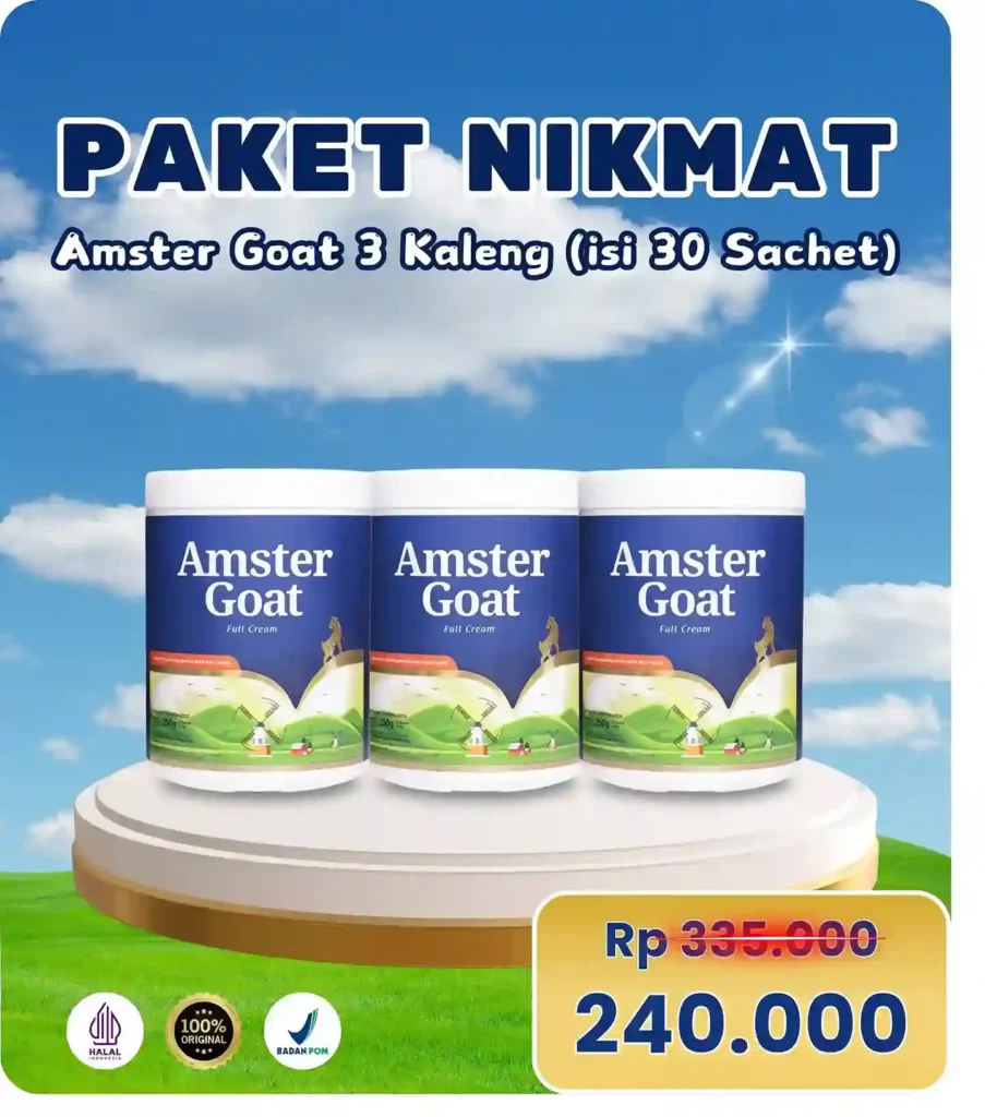Amster Goat Regina – Amster Goat
